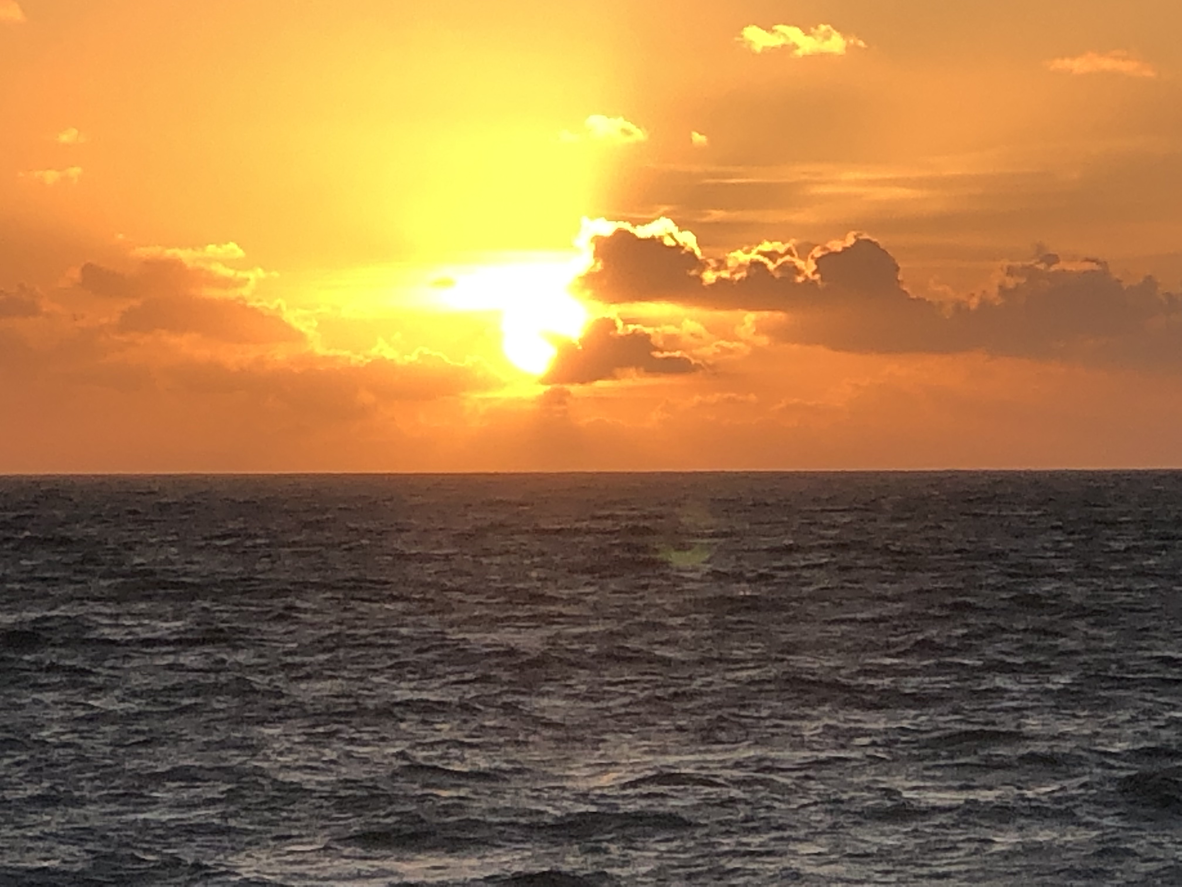 Sermon: The Holy City and the Missing Sea | Grace Presbyterian Church